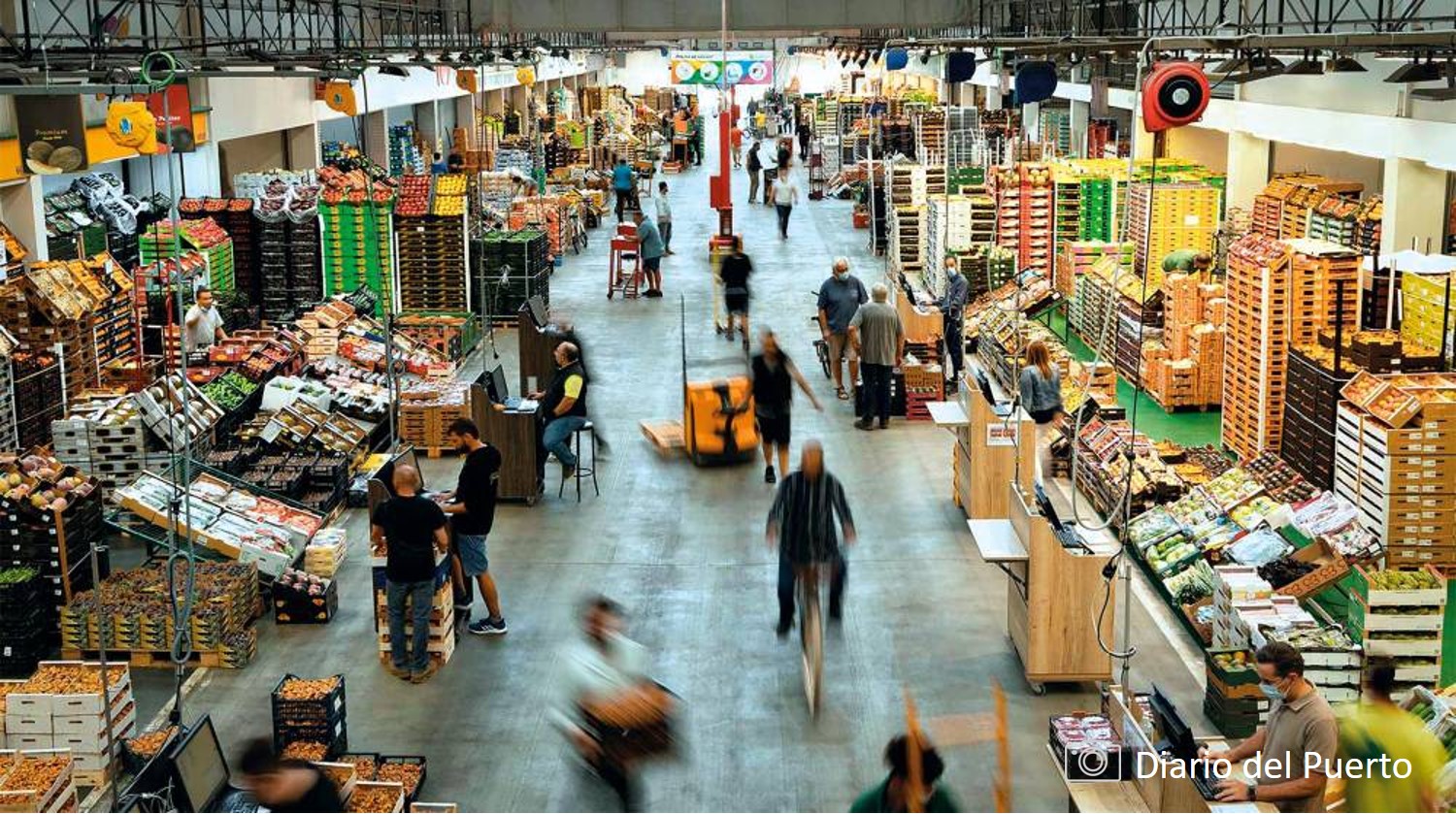 La logística del frío, en jaque por los costes energéticos y la ...