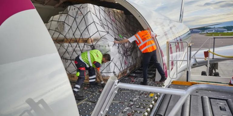 Iata actualiza sus directrices para operativas de carga aérea y ...